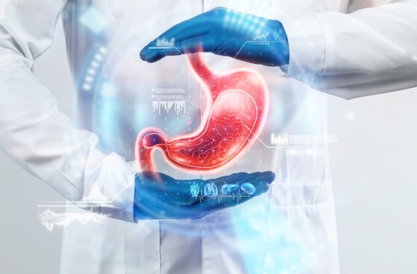 Processo de digestão: entenda como funciona - Bios-nad